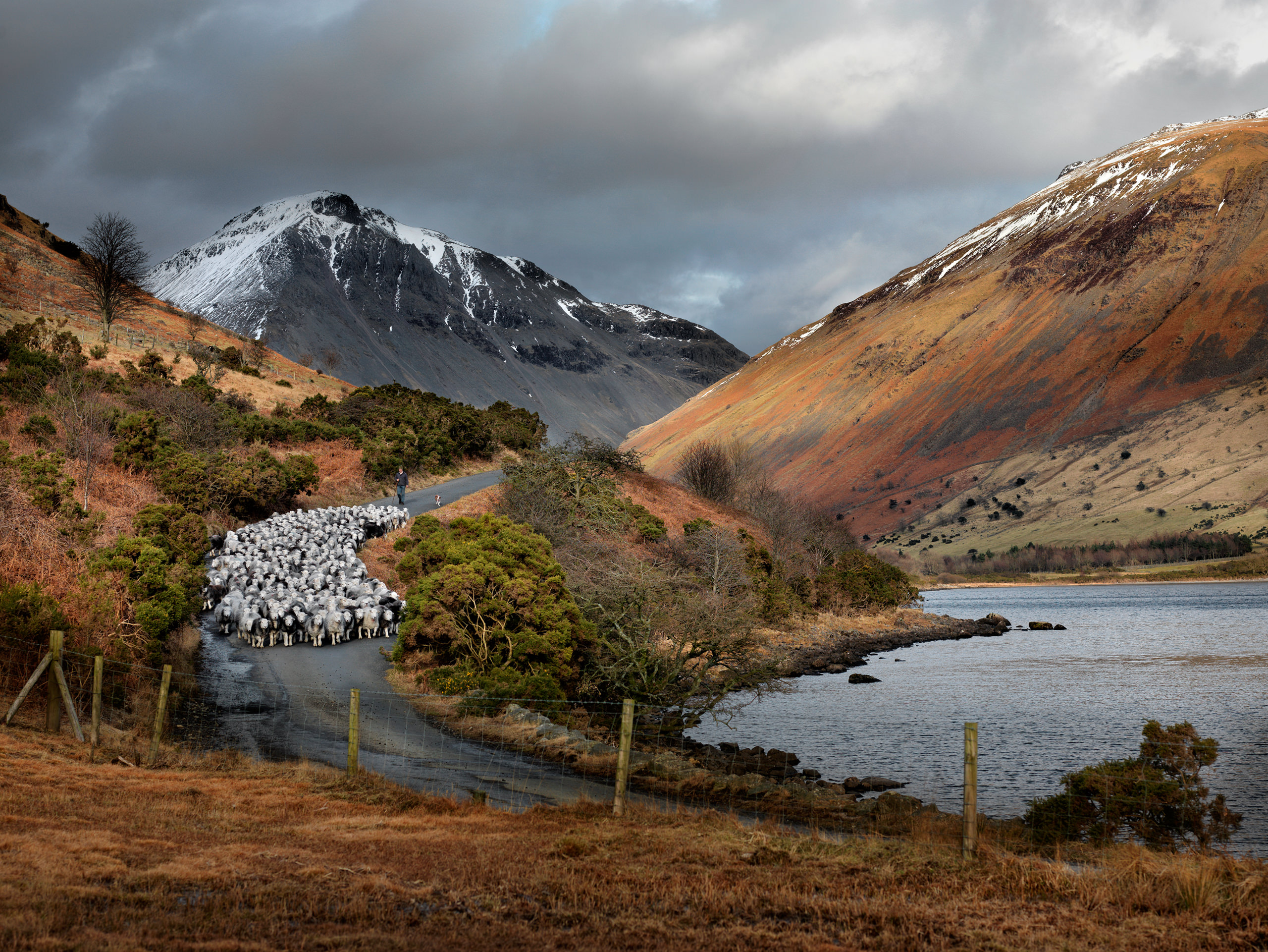 Ian Lawson | Books | Herdwick - A Portrait of Lakeland