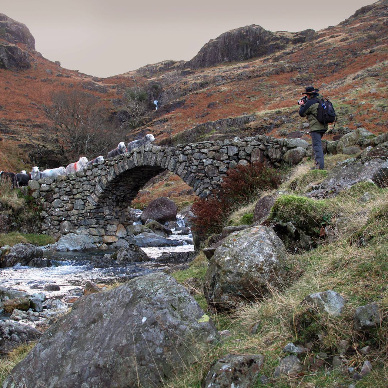 Ian Lawson | Books | Herdwick - A Portrait of Lakeland