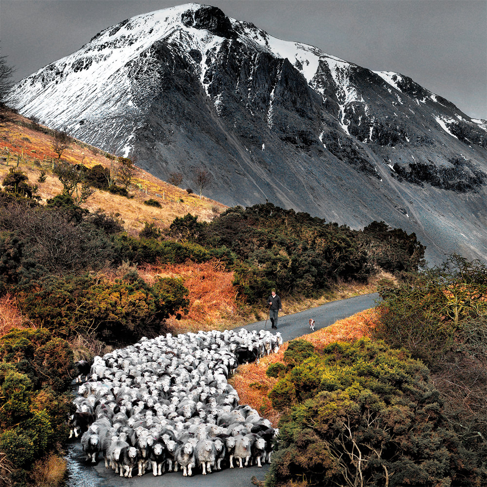 Ian Lawson | Art Prints and Books