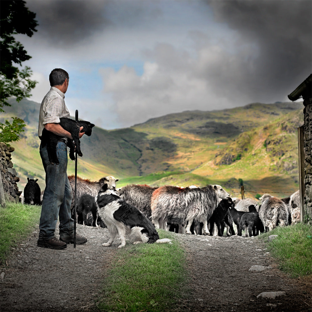 Ian Lawson | Art Prints and Books