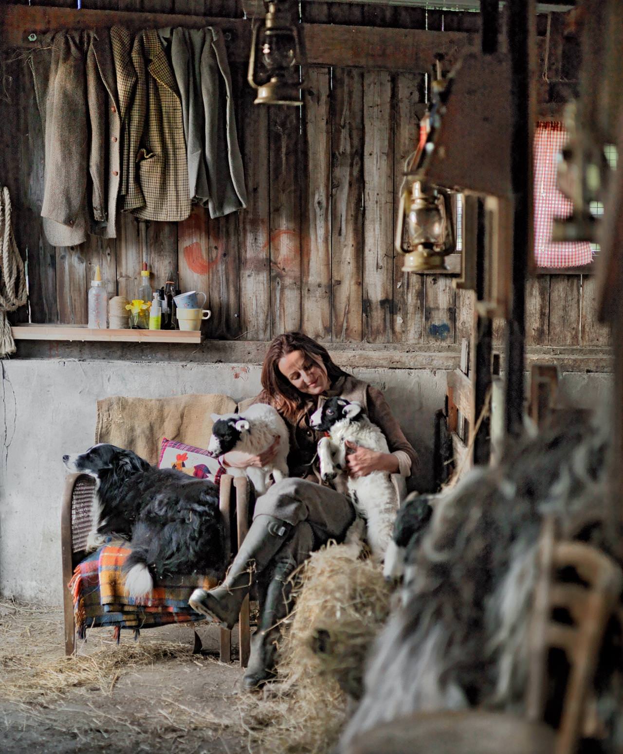Ian Lawson | Books | Shepherdess - One Woman Farm